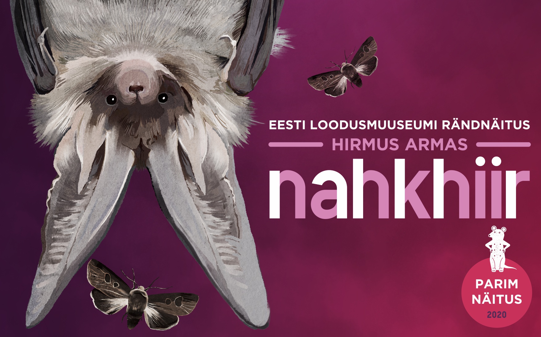 Avasta salapärane maailm - TASUTA giidituurid nahkhiire näitusel Eesti ...